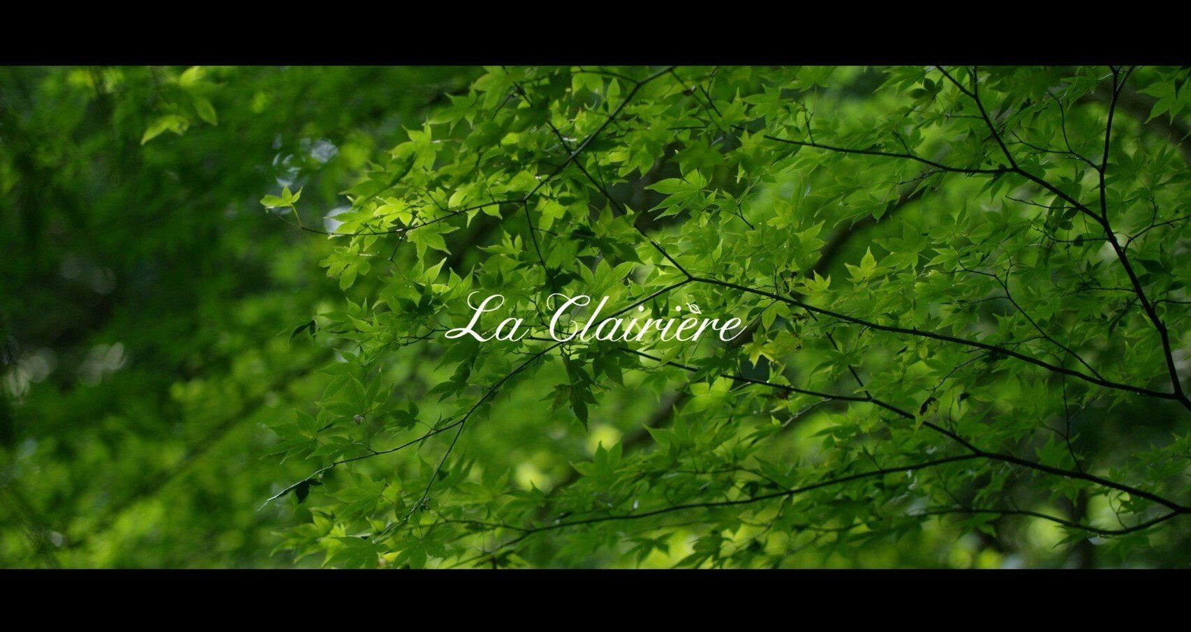 ミシュラン三つ星レストランへの挑戦【第3章】｜Hideyuki Shibata｜note