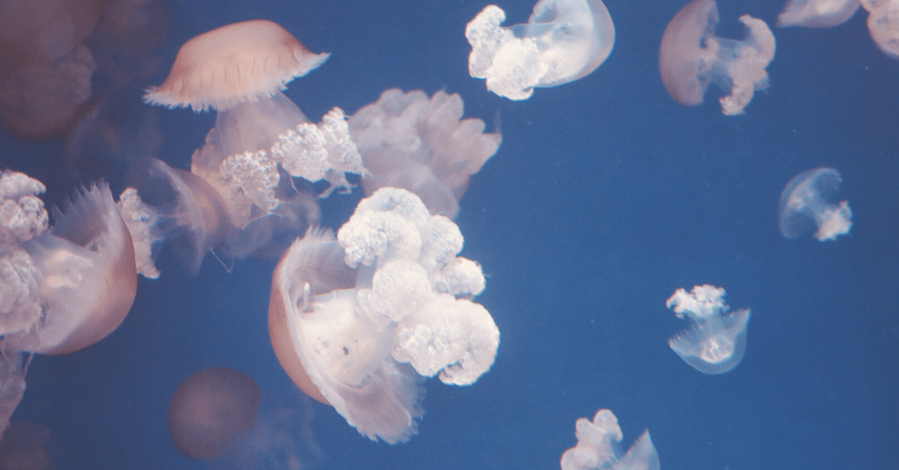 この1年で変わったこと【10分執筆】｜おきありちゃん／Oki Arisa