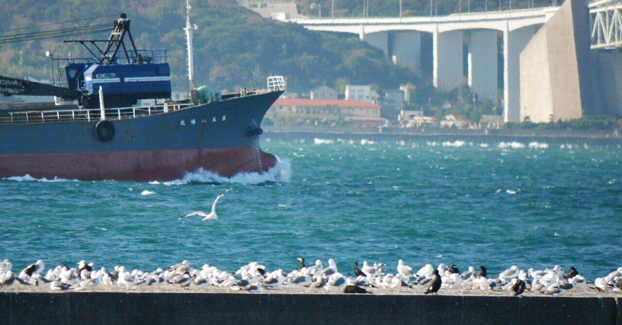 【EURN】ユーロナブのじっちゃま発言まとめ&銘柄分析‼️[じっちゃま注目銘柄]｜ショウ