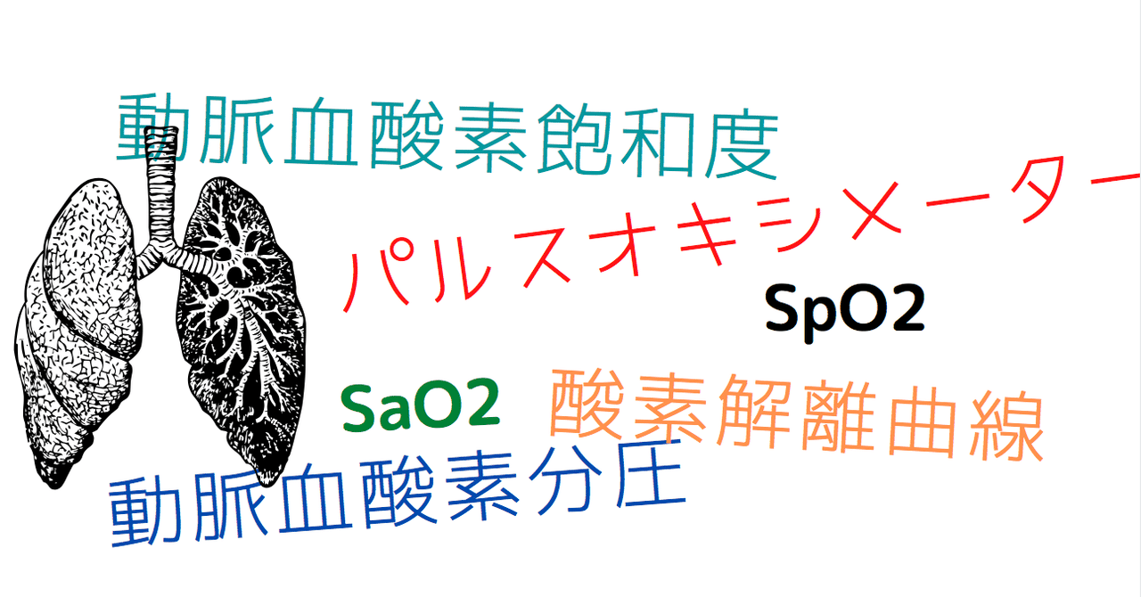 パルスオキシメーター、SpO2、SaO2、PaO2の関係性を知ろう！｜あんどぅnote