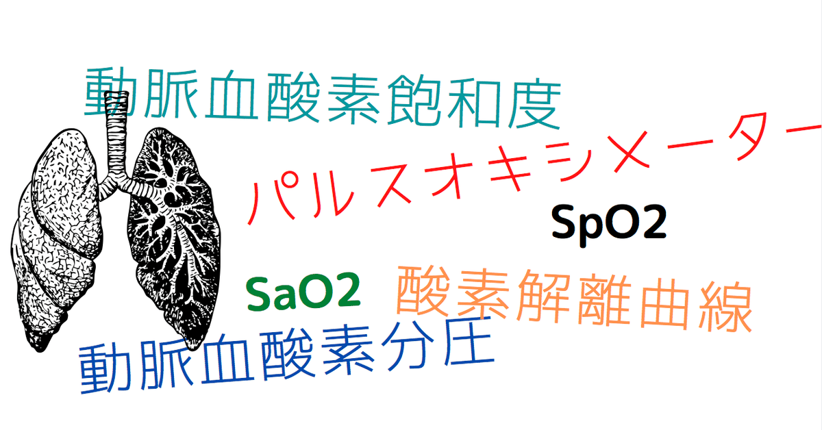 パルスオキシメーター、SpO2、SaO2、PaO2の関係性を知ろう！｜あんどぅnote