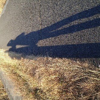 Shuichi Nogami｜note