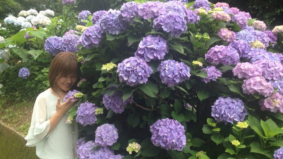 Mariko Kuwahara｜note