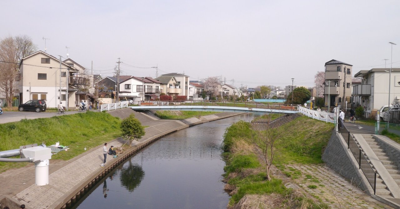 近所の風景と猫の平和｜Hackai Watanabe｜note