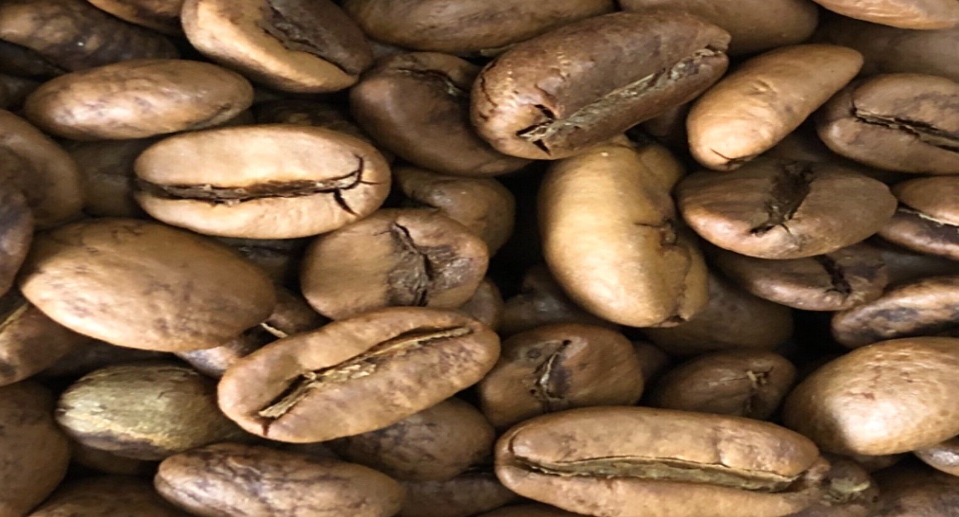 Foolish Coffee｜note