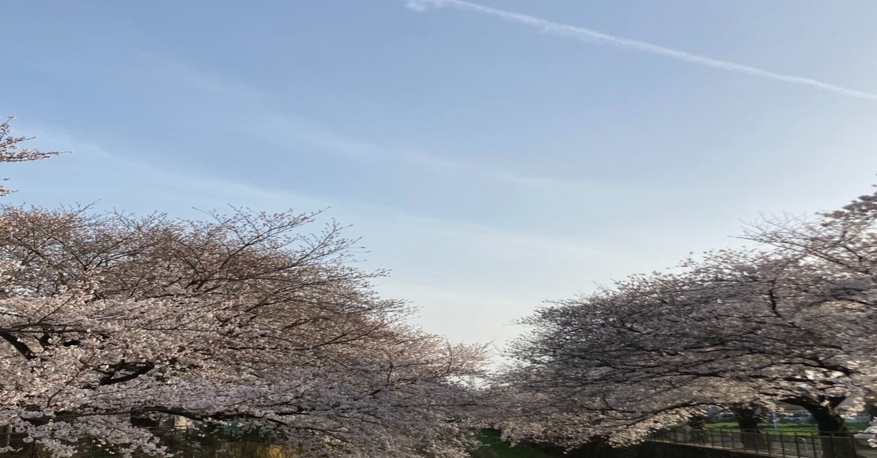 麻波25、175Rとか読める人は多分同世代(世代によって知ってる言葉がある)｜【T⇔R】Twenty【56万PV達成】