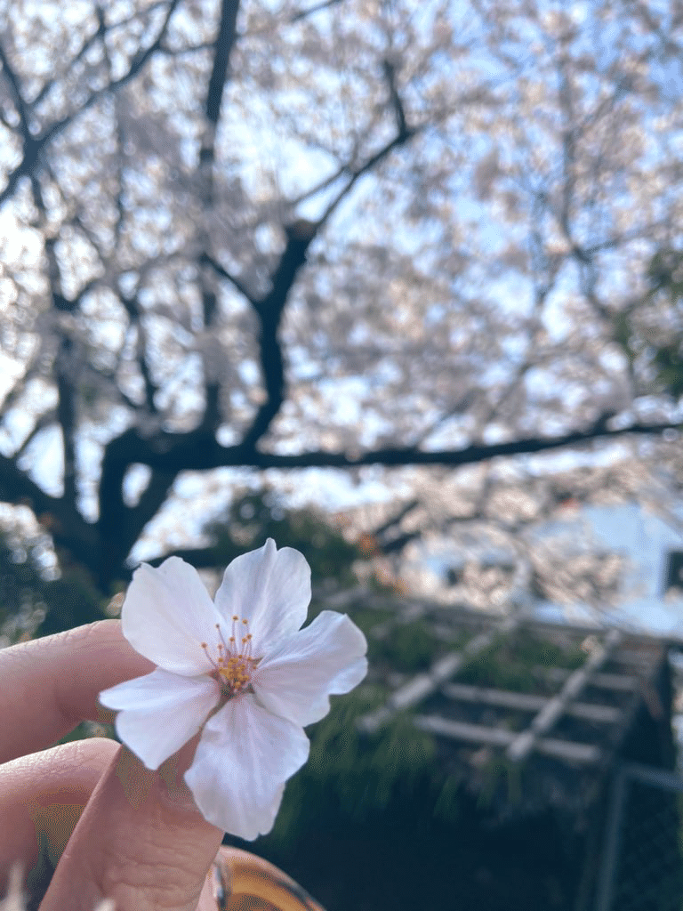 動き出す予感。｜ri｜note