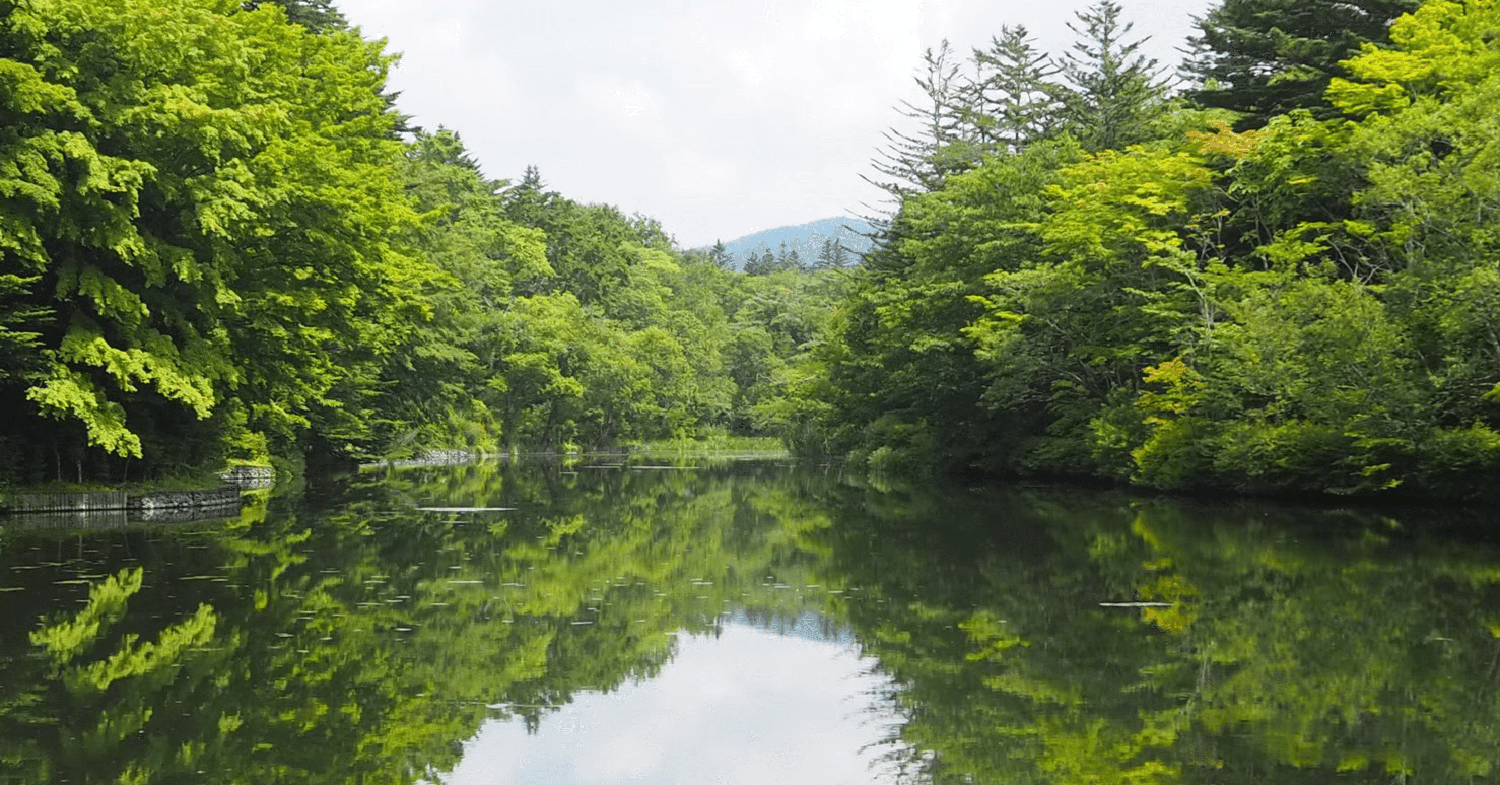 Lala｜L-Project ｜note