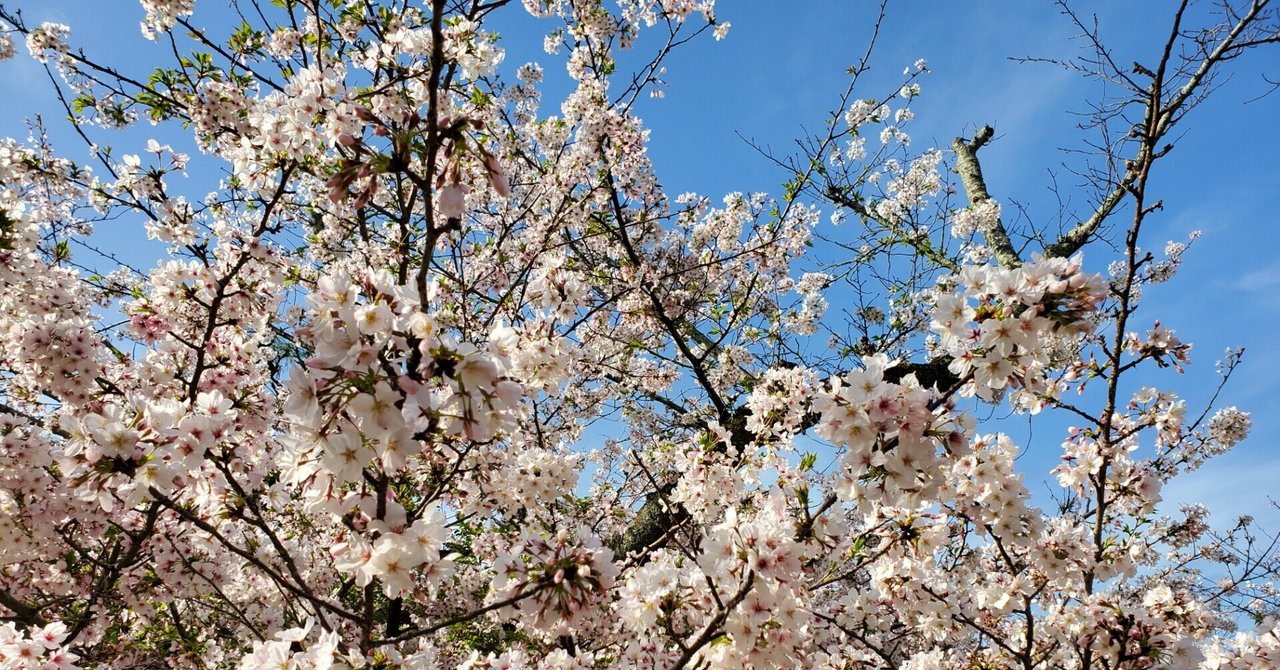 新しい年、新しい職場｜utsuno