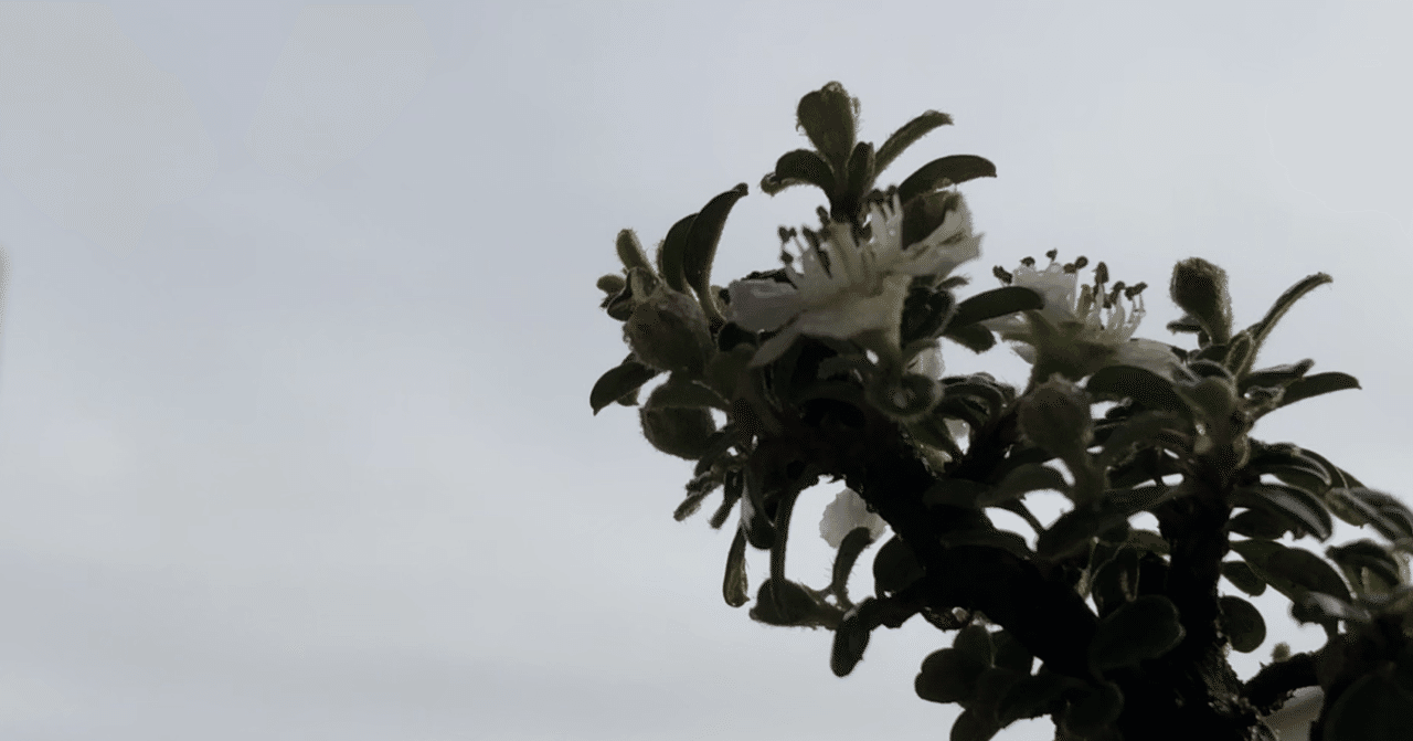 仕事がはかどらない時に考えること｜yoshitaka kai｜note