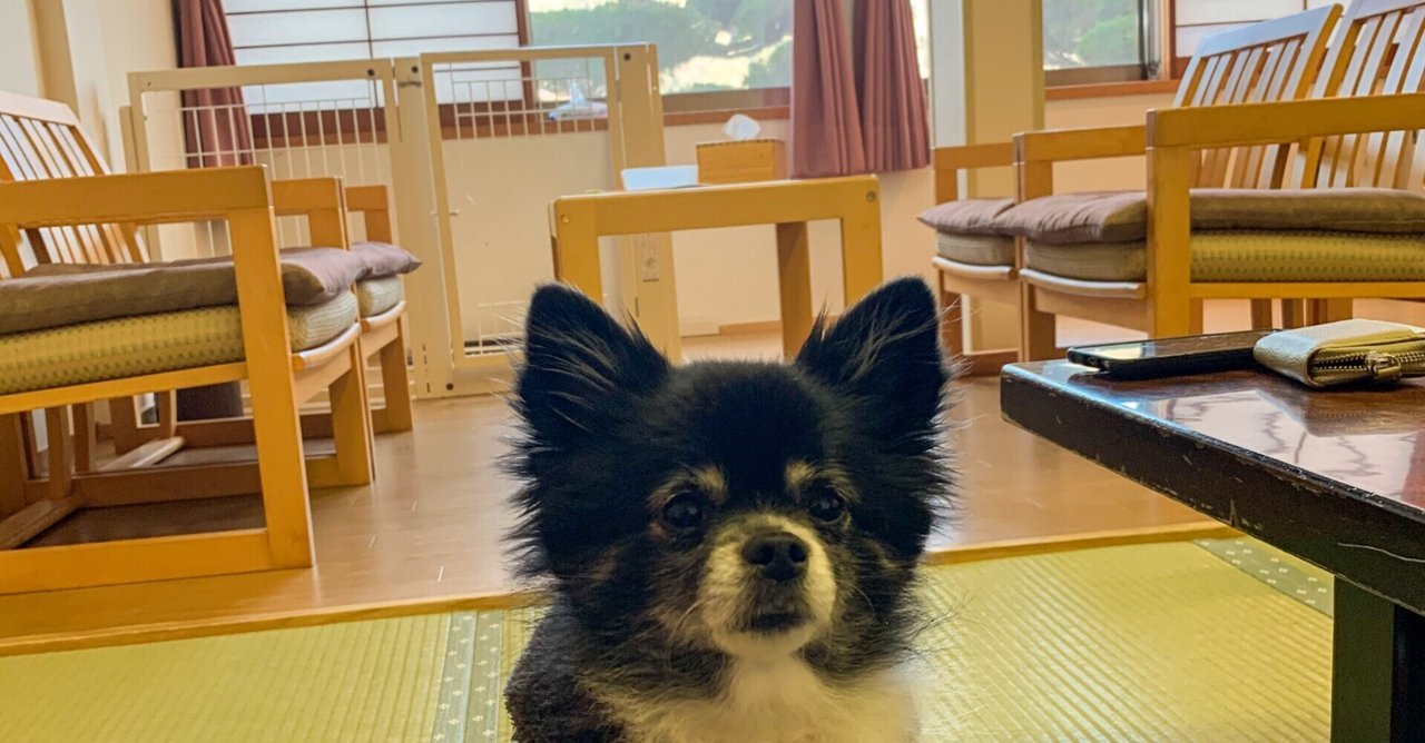 Arika 旅×音楽×映画｜note