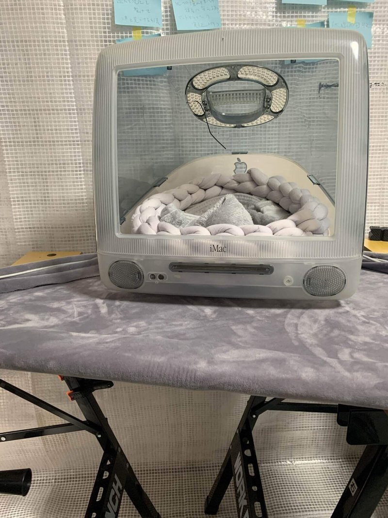 【Macでつくる猫部屋】キャットハウス編/分解編｜beryls_atelier