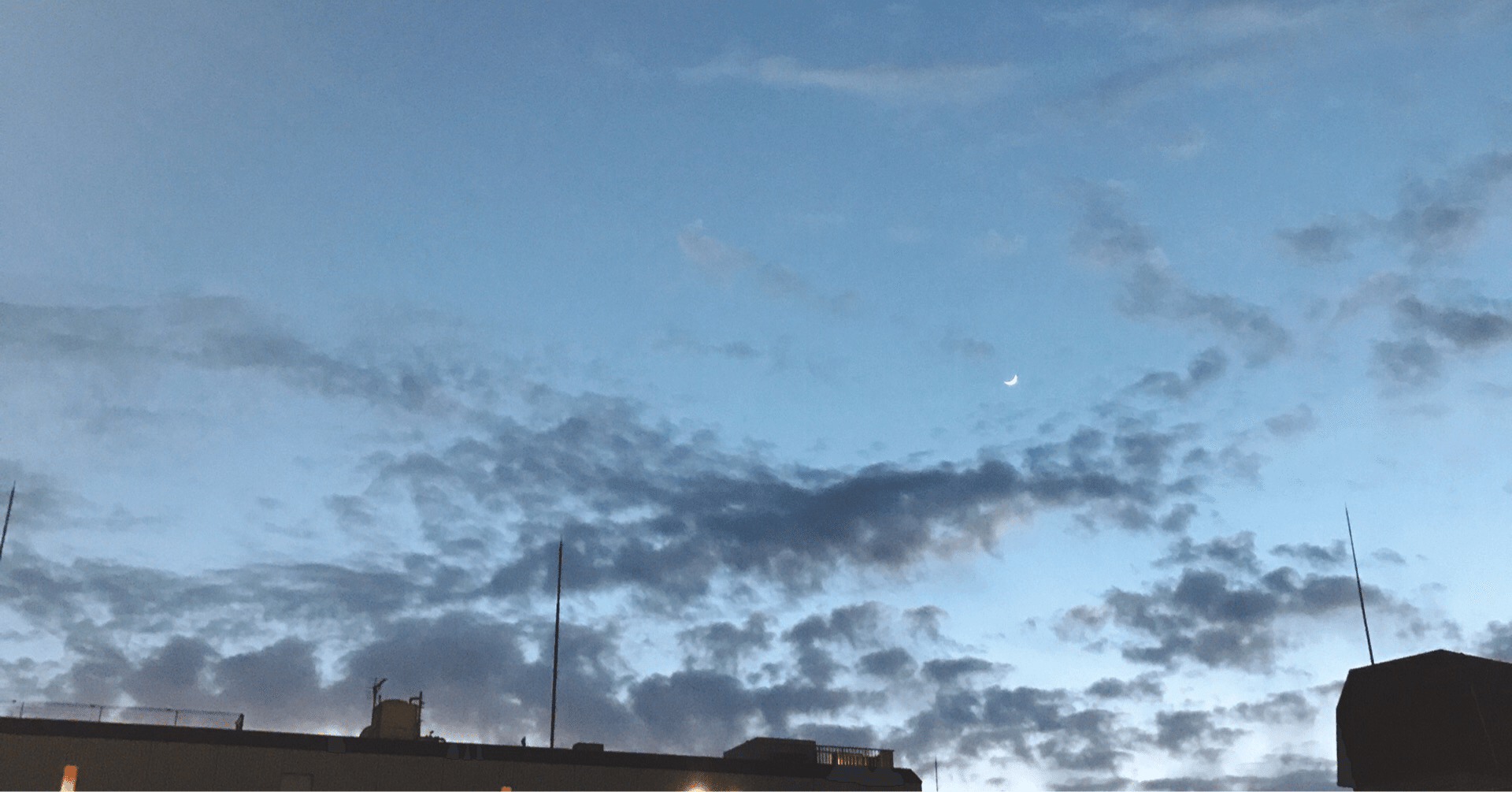 Noriko Hosokawa｜note