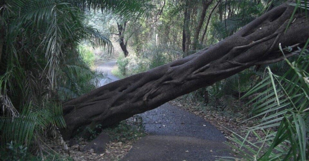 WYSIATI｜k.h.｜note