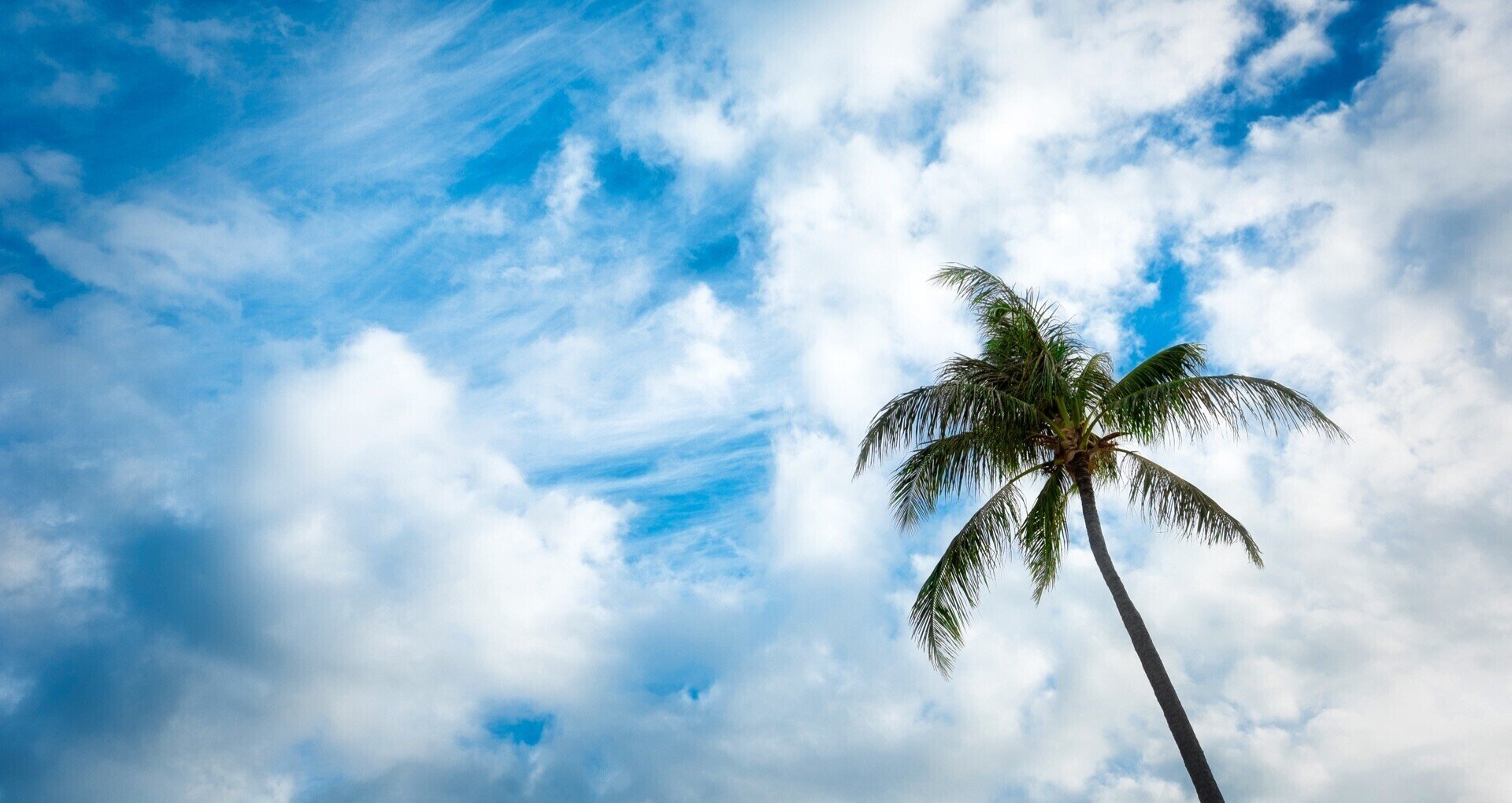 Mieko Horikoshi｜note