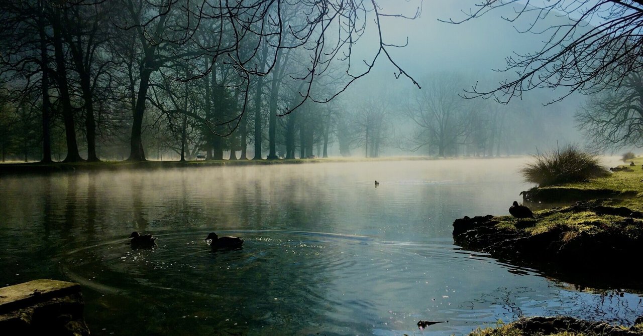 最も避けてきたものとの向き合い｜Miyuki Suto