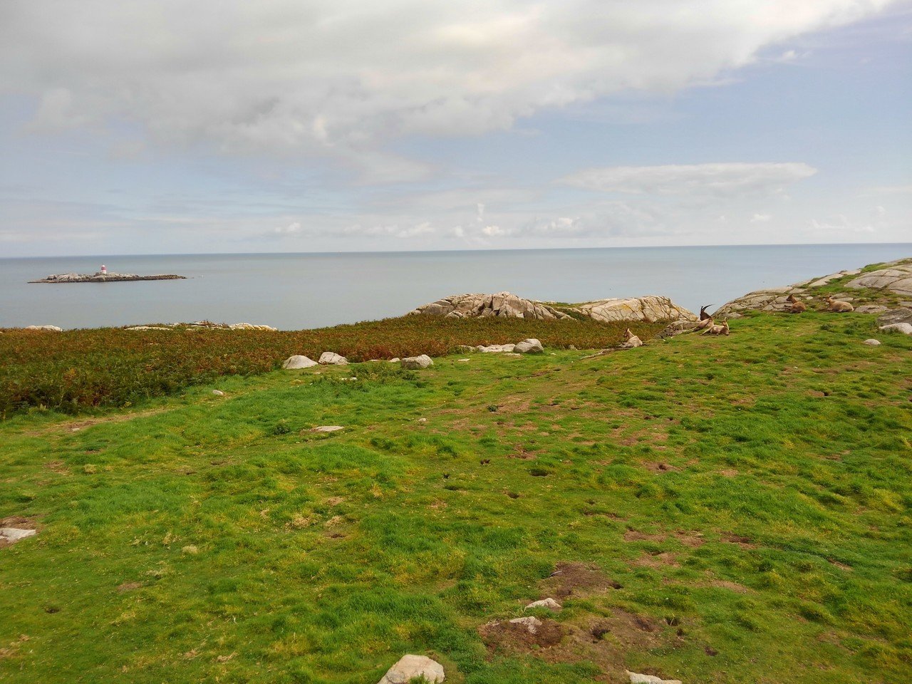 映画『シング・ストリート』のダブリンへ｜Kosuke Miyata｜note