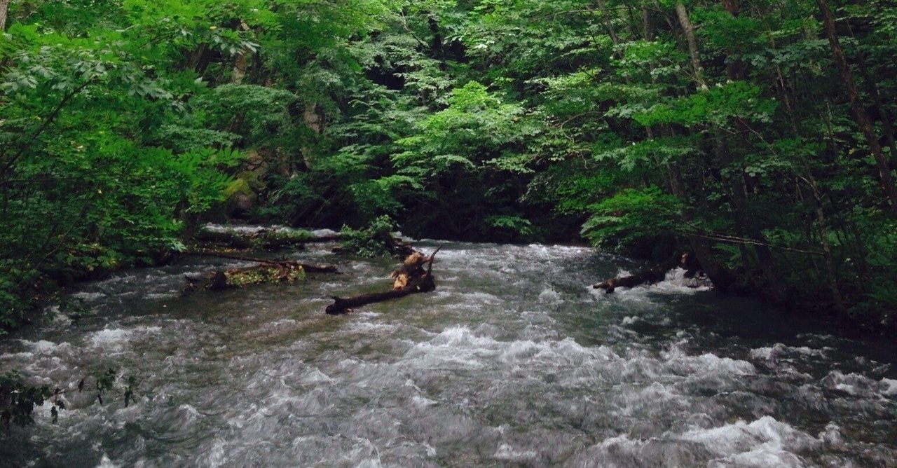 さあ。多分、何も変わらないと思います。｜湊谷翔-Minatoya Kakeru-｜note