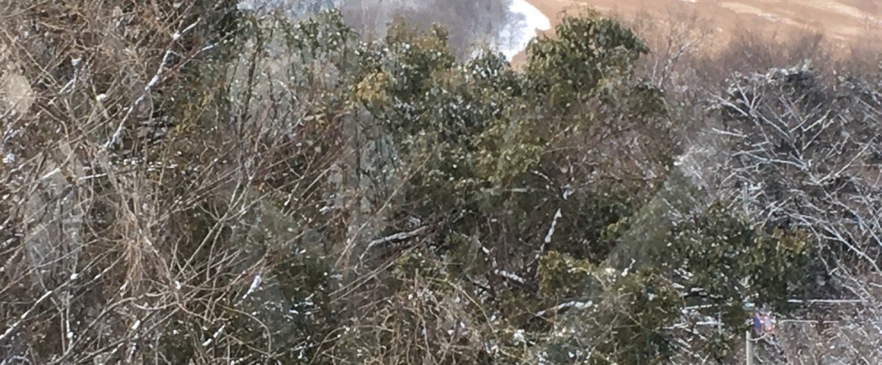 YOGA IS HOW TO LIVE.｜miyoga｜note