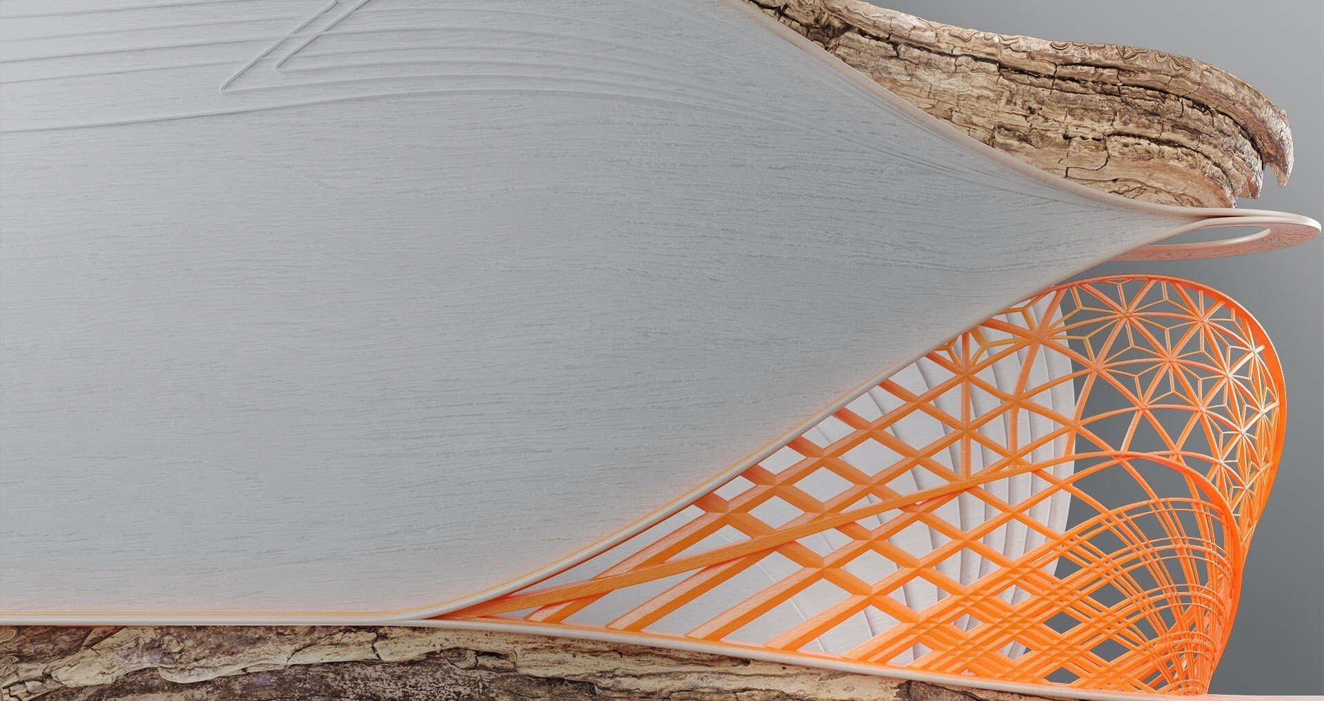 Cinema 4D S24新機能｜Maxon｜note