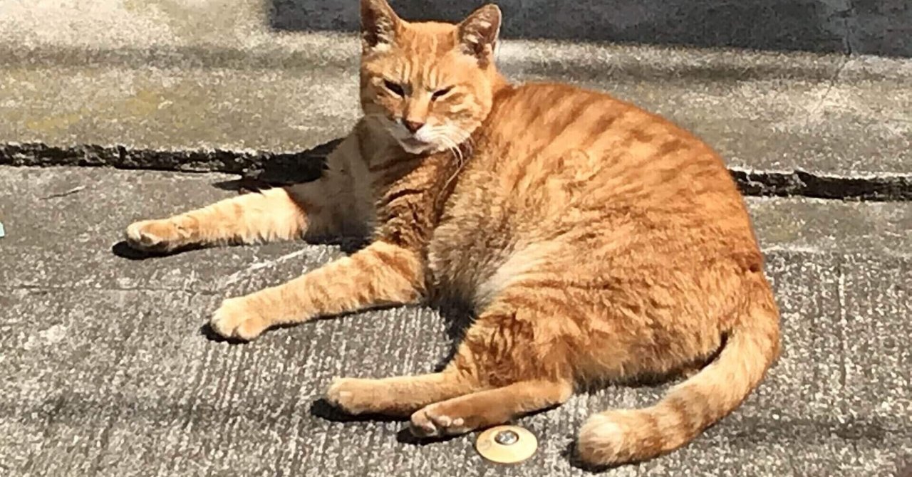 はじめまして、9年前の私。｜Yutaka Hirata