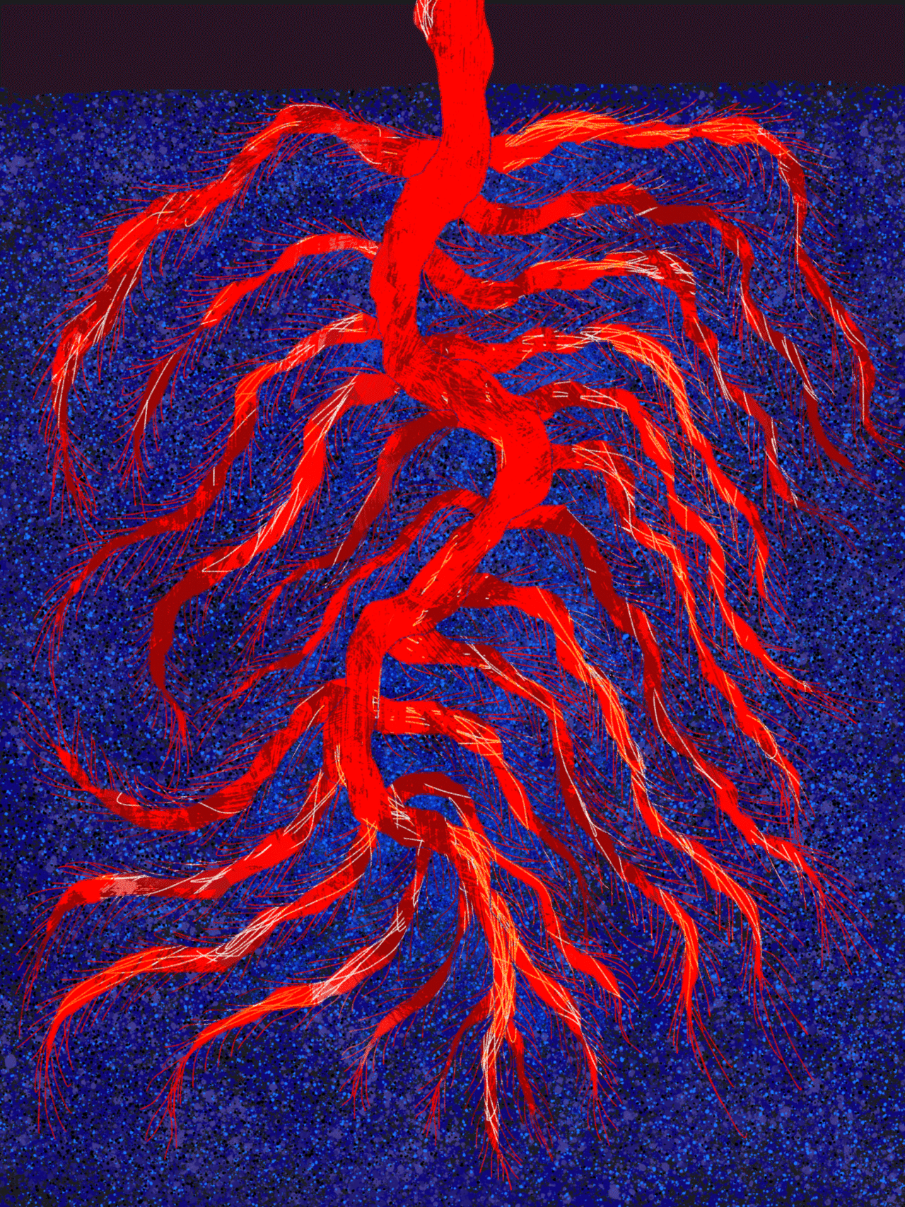 根っこ07｜000view