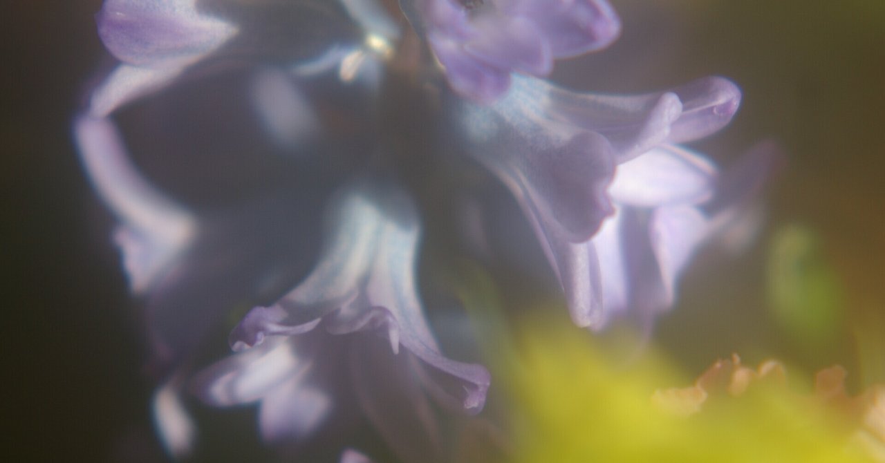 花みくじ｜Cosmic Suzu｜note