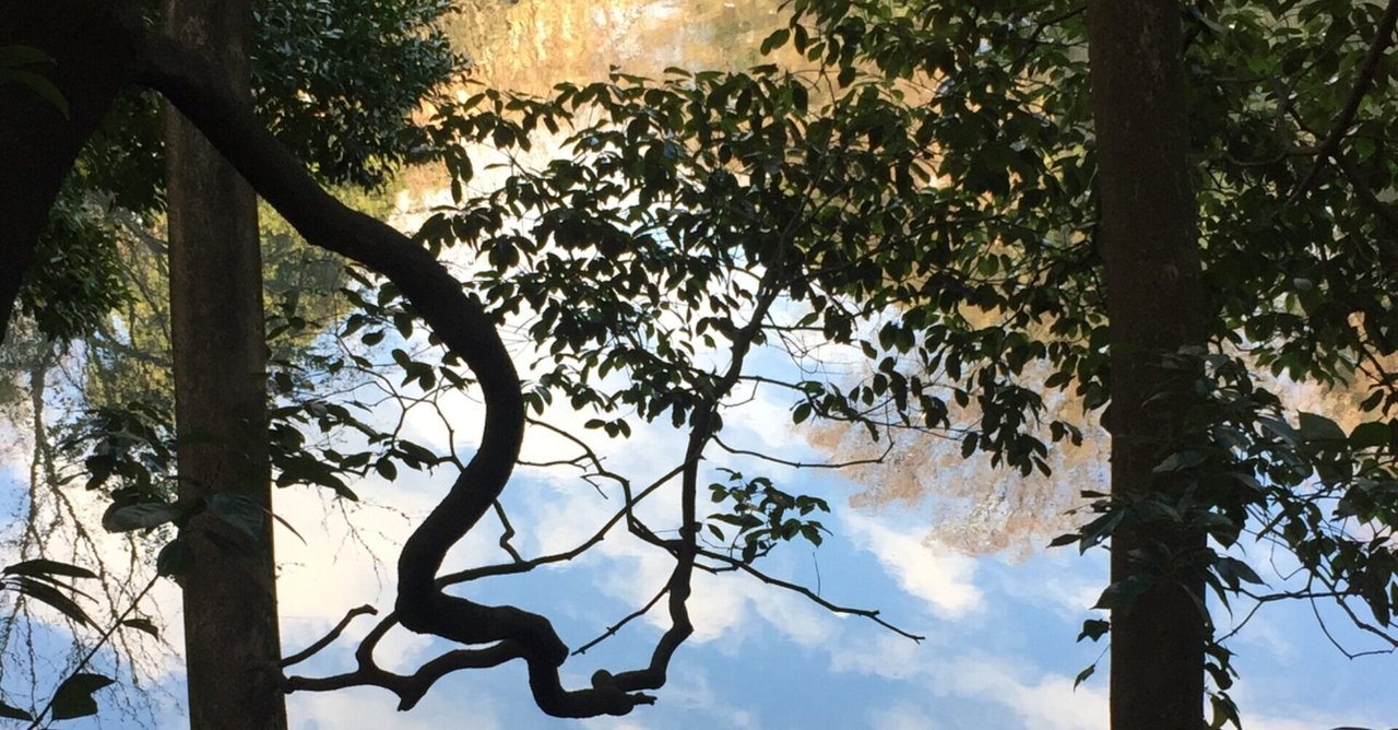 サルトル大先生｜chika｜note