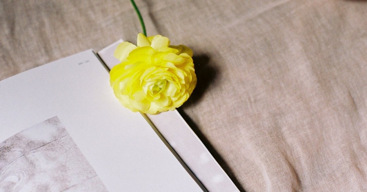 二年目の春｜菊地徹 ／ Toru KIKUCHI｜note