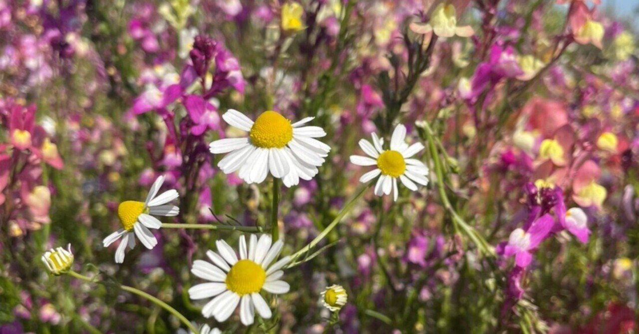 スーツ姿／一年遅れの入学式と辞令授与式での私の反省｜ryoju｜note