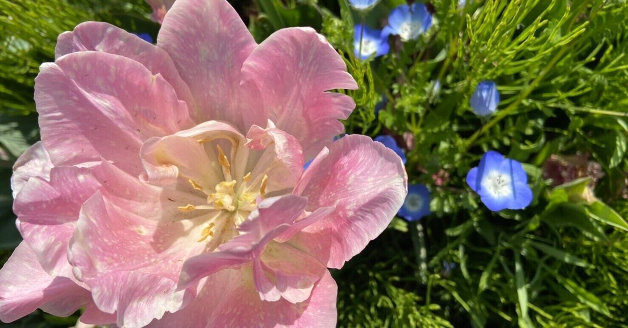 女子高生、女子大生でにぎわうデイサービス｜ryoju｜note