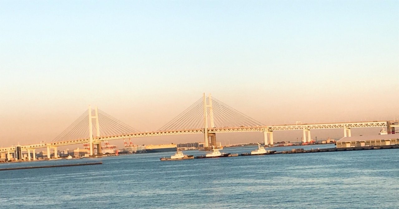 情と理｜いわさん