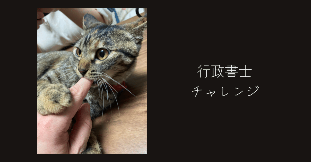 【行政書士チャレンジ】GW の予定｜ふらふら｜note