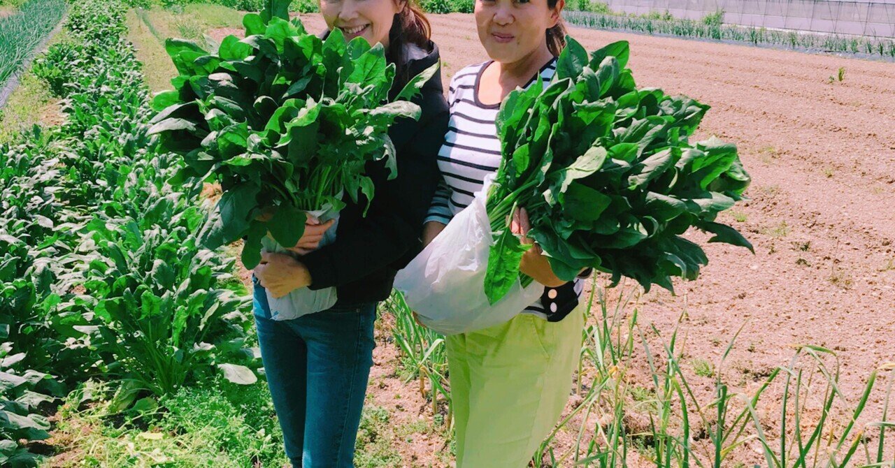 Ninja Farm見学｜Ninja Farm 谷井志朗（ベジロー）