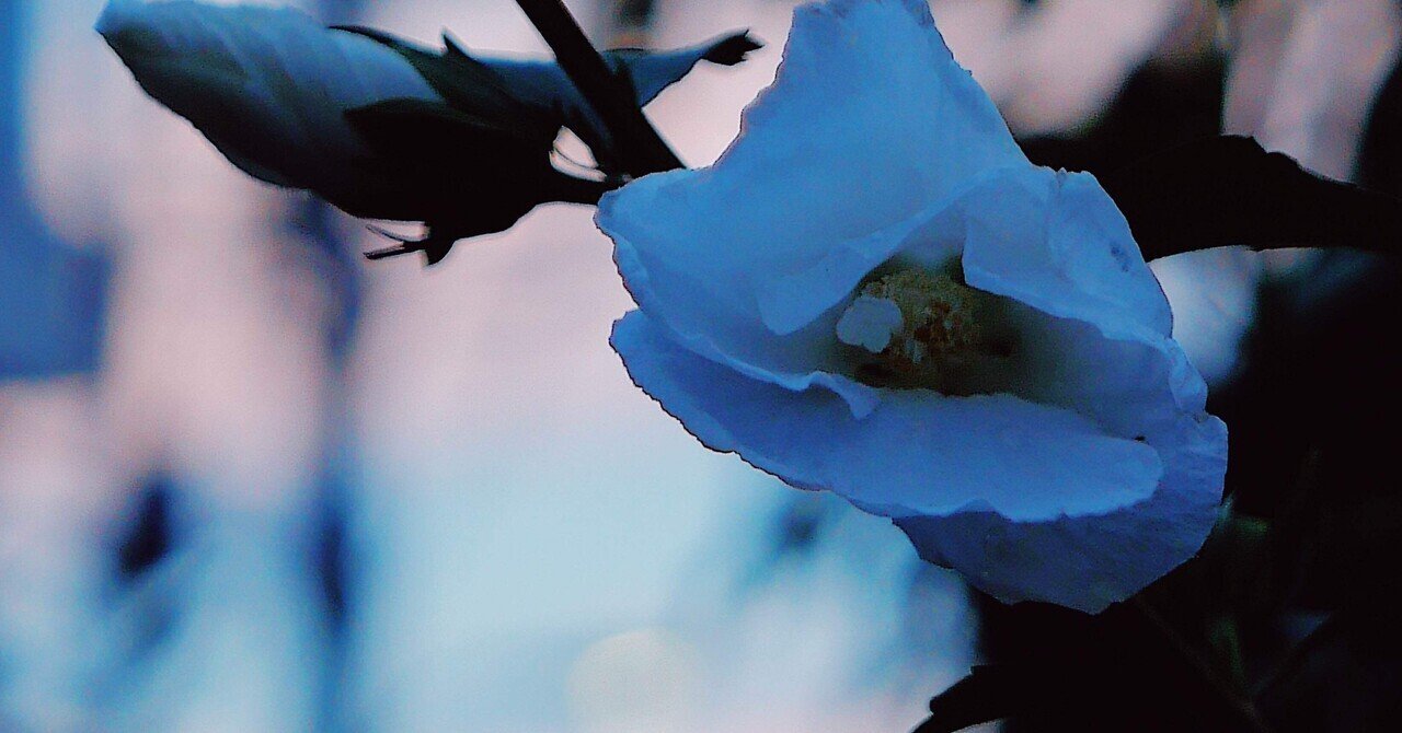 変えられることを全力で！｜Miyamoto Daichi