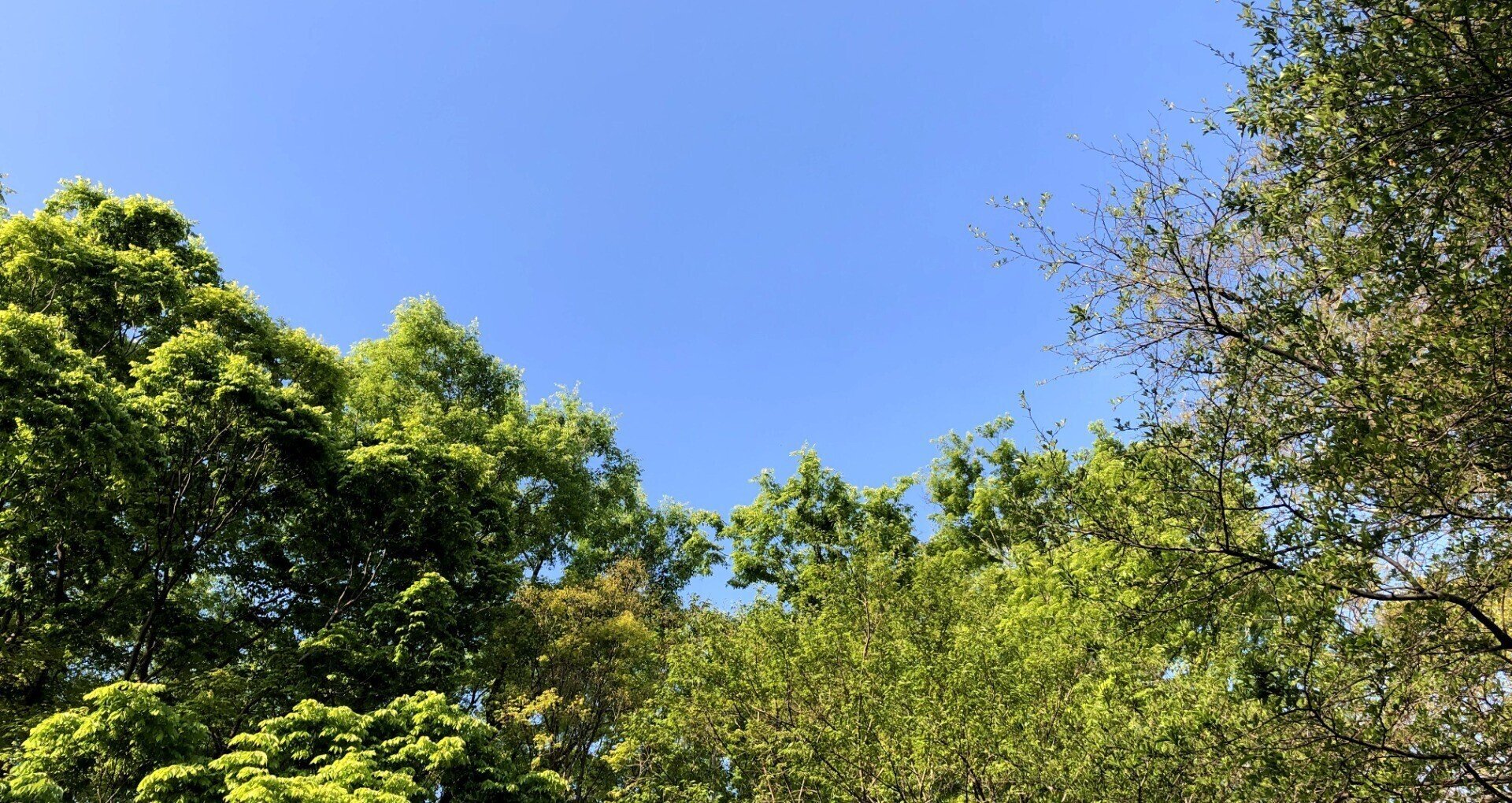 Higashi Shinichi｜note