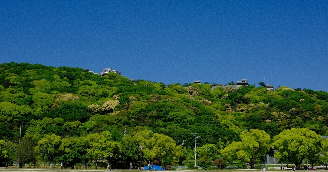 春の緑は一色ではない｜utsuno