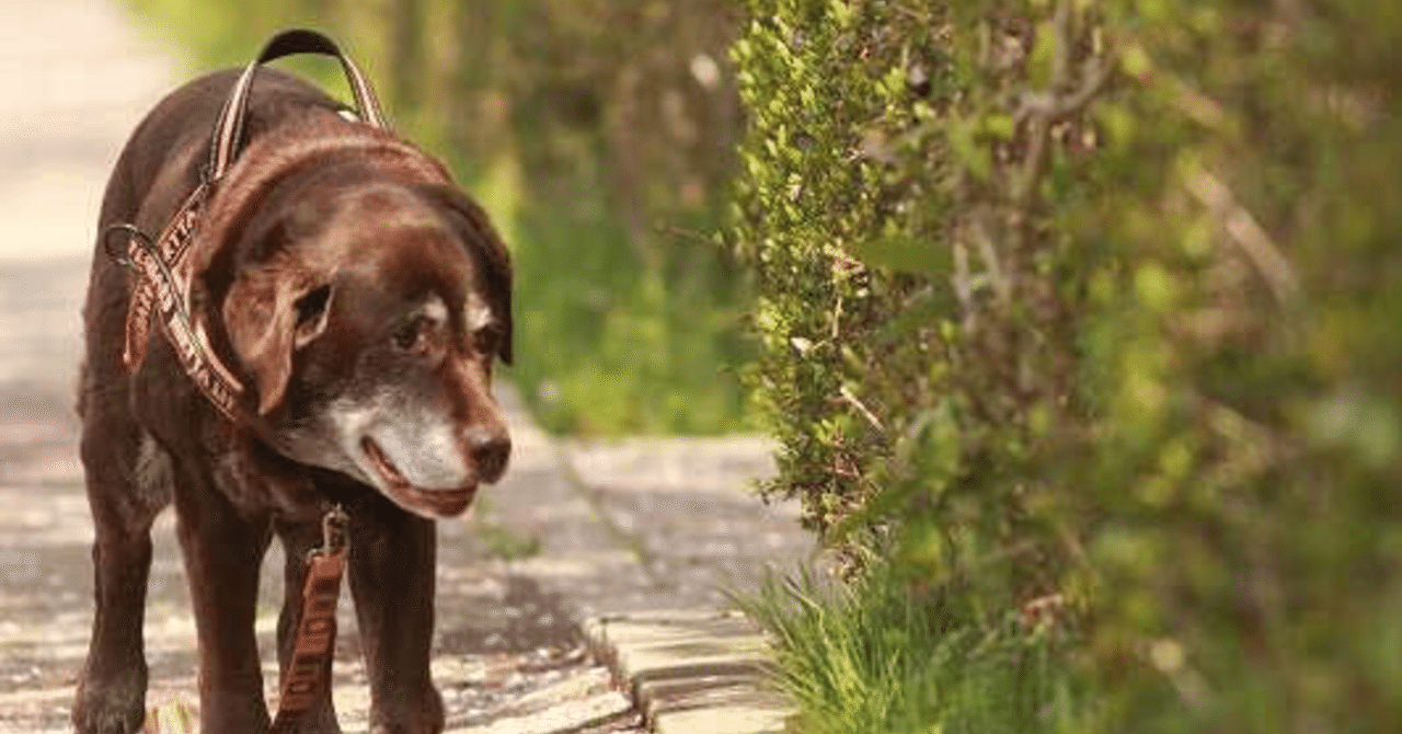 2021.4.26日々上機嫌｜shun sun