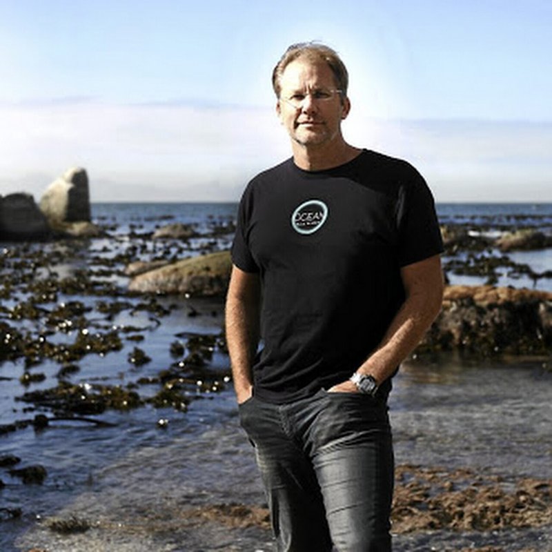 MY OCTOPUS TEACHER / オクトパスの秘密 海の賢者は語る（2020年9月7日配信公開）｜eigadays｜note