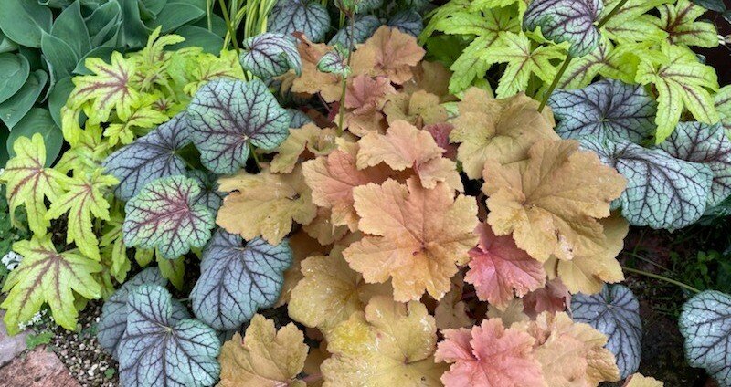 わたしの本棚｜Kaori｜note