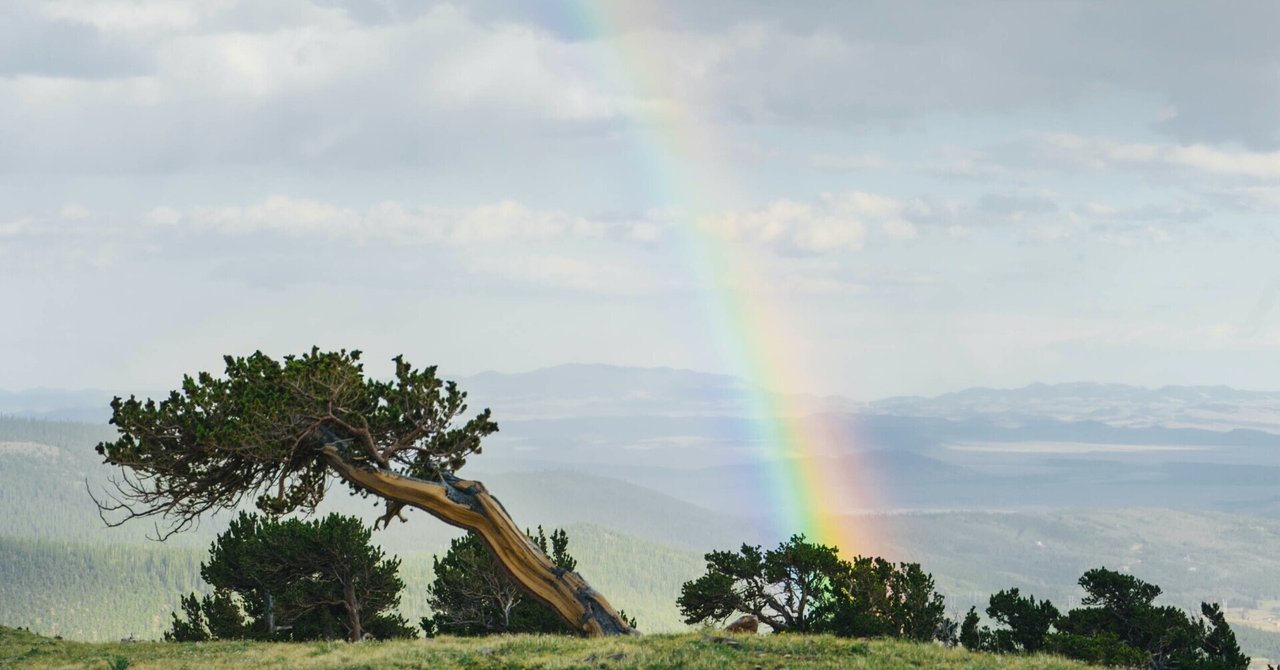 手ごわい思考の癖よ！｜Keiko Usami｜note