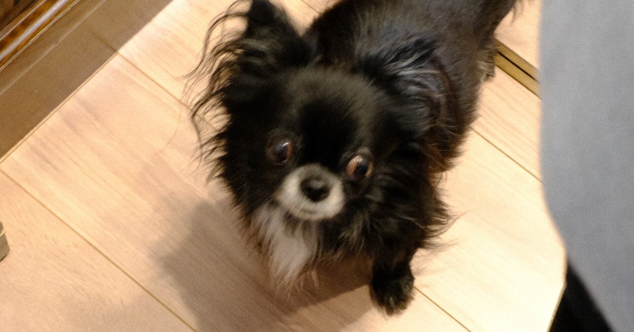 新生活一ヶ月の変化｜utsuno