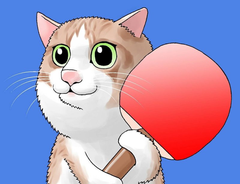 イシダ卓球～琉球アスティーダ卓球場～（奈良県葛城市）のご紹介｜るぅコーチ＠イシダTTC琉球アスティーダ卓球場