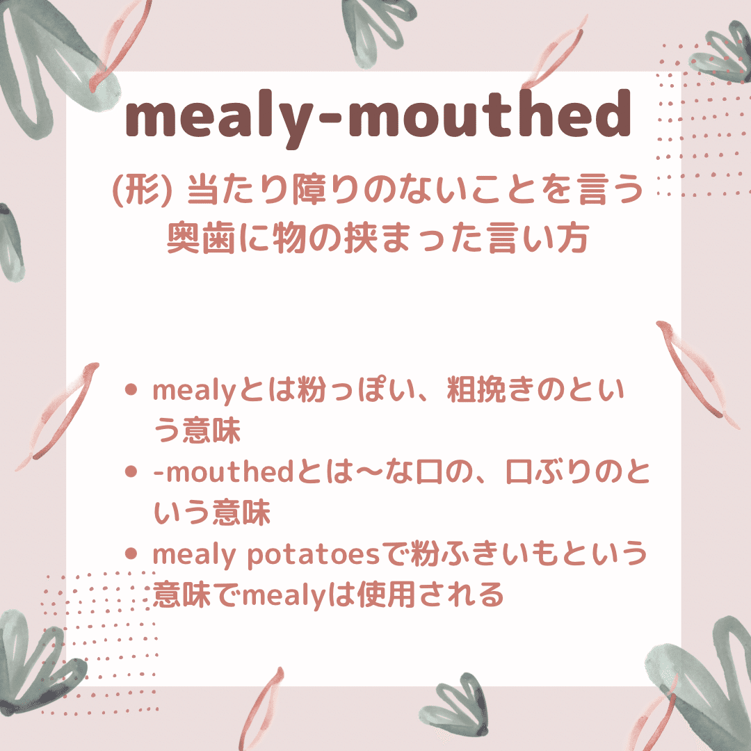 【Mealy-mouthed】粉っぽい口？ではない｜Rae🌸英語小ネタ