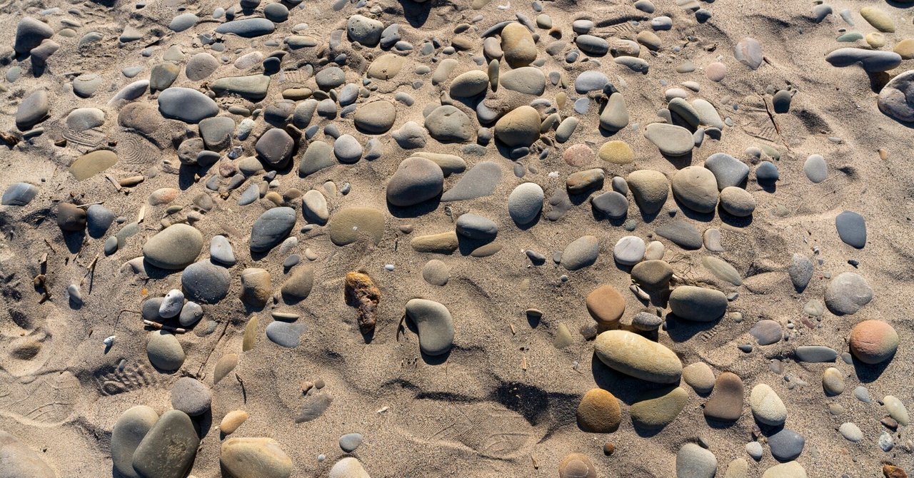 多様性のあるチーム｜Shingo Shingo｜note