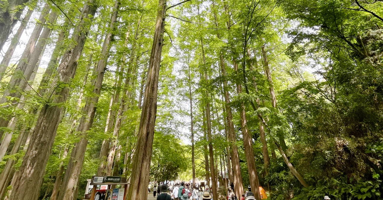 みどりの日の雑感。｜Kei Inoue