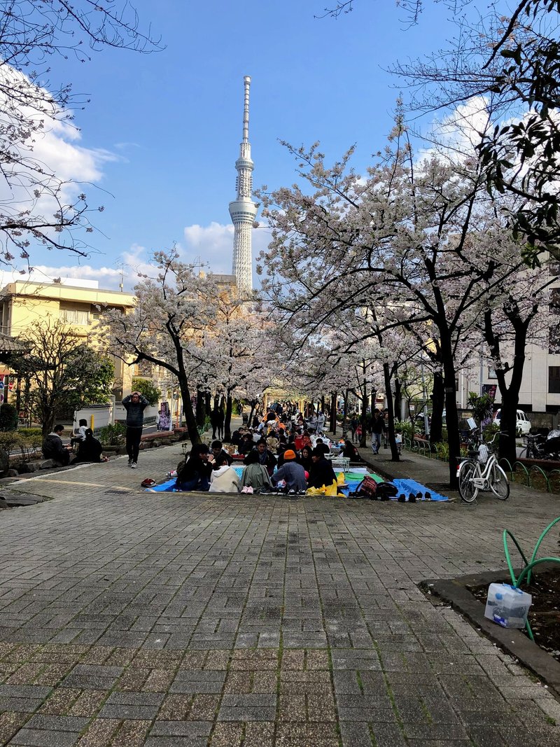 23：東海道吉田（とうかいどうよしだ）｜yabusan（823）