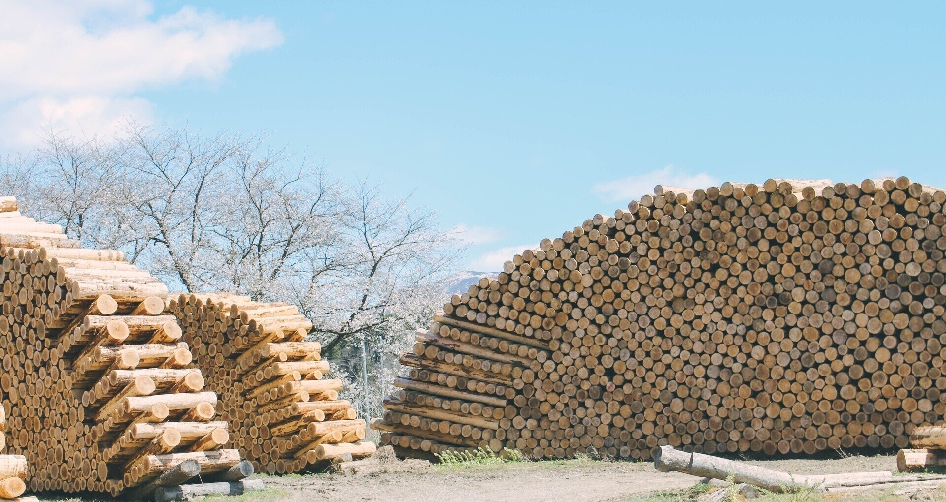 本間真生 | Masaki Honma｜note