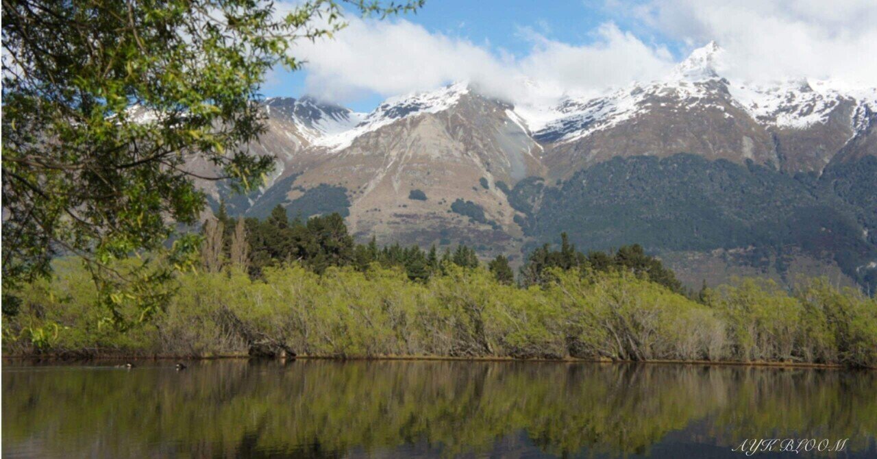 Tableau DATA SABER認定制度に挑戦しています①｜Ayako K.｜note