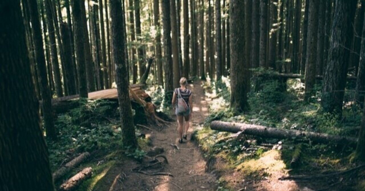 Lockdown for standing up to a difficult mountain(the fourth wave) 2日目（5月7日）｜Seina Morisako